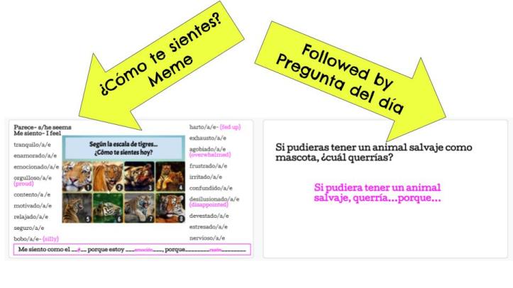 Daily Check in & Question of the Day for upper levels – Señora Chase